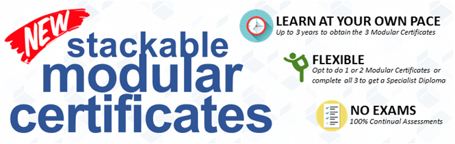 Specialist Diploma | BCA Academy